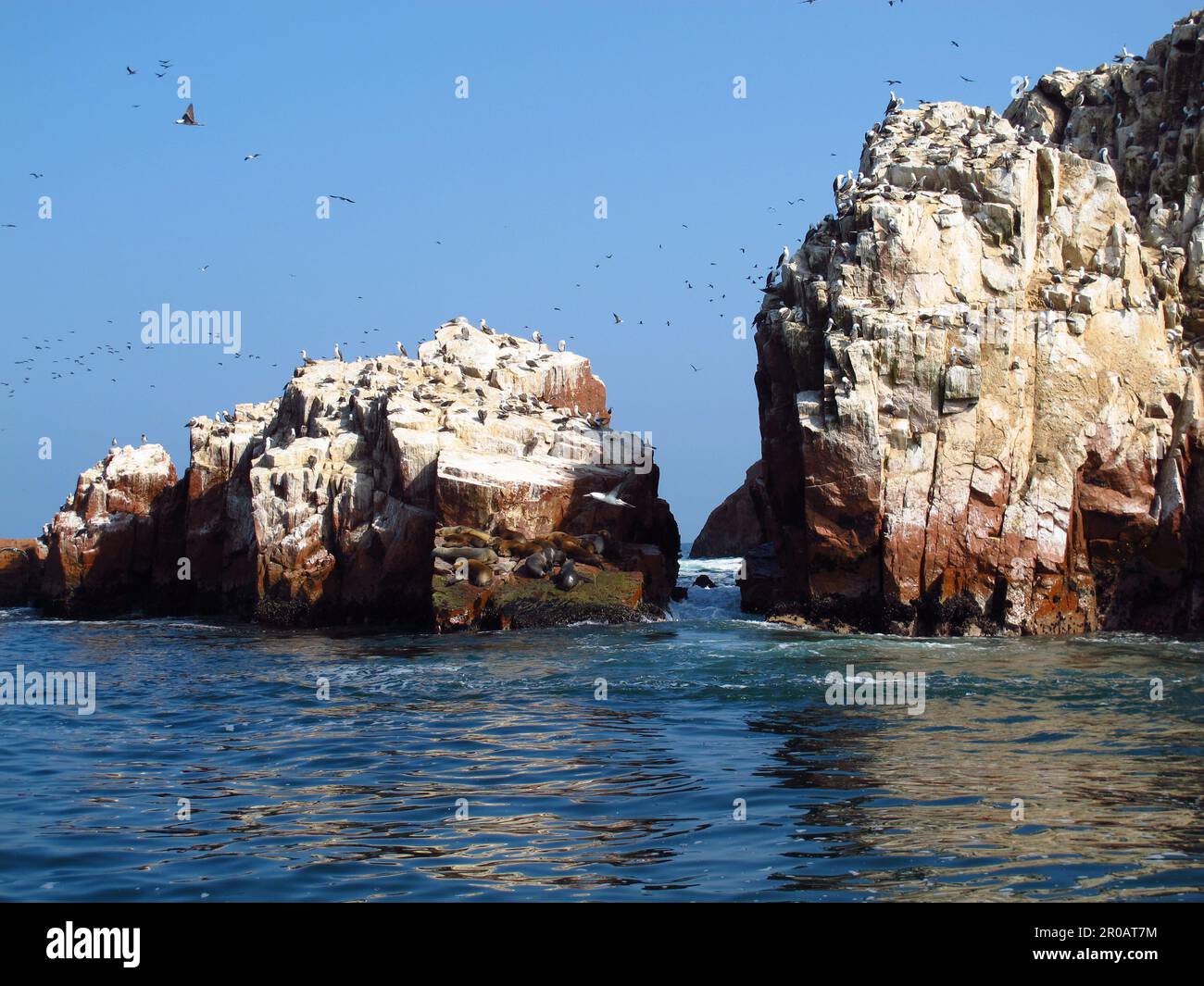 Rocks with animals in the Pacific ocean close Paracas, Peru Stock Photo ...