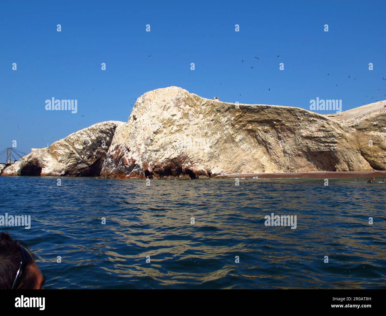 Rocks with animals in the Pacific ocean close Paracas, Peru Stock Photo ...