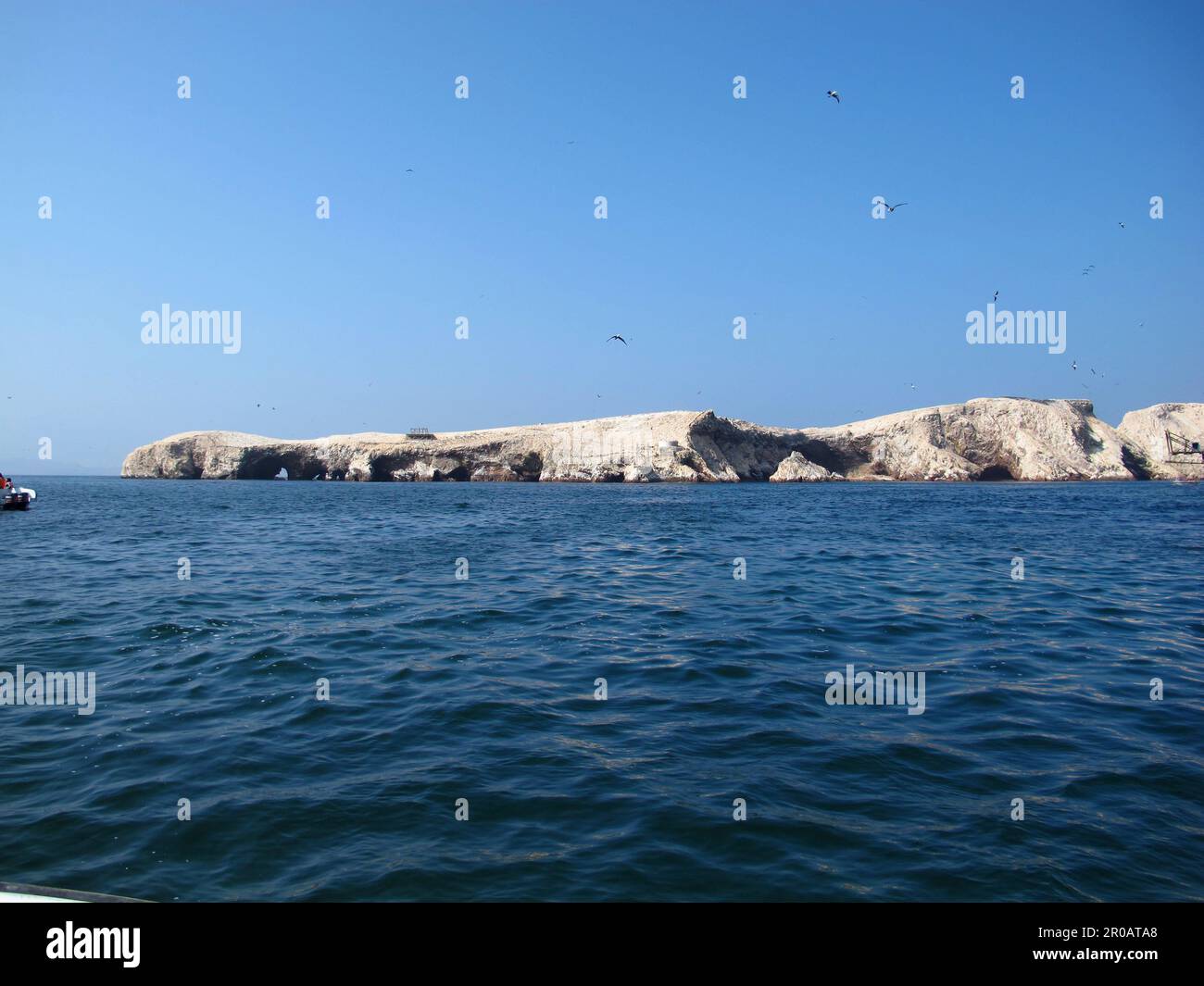 Rocks with animals in the Pacific ocean close Paracas, Peru Stock Photo ...