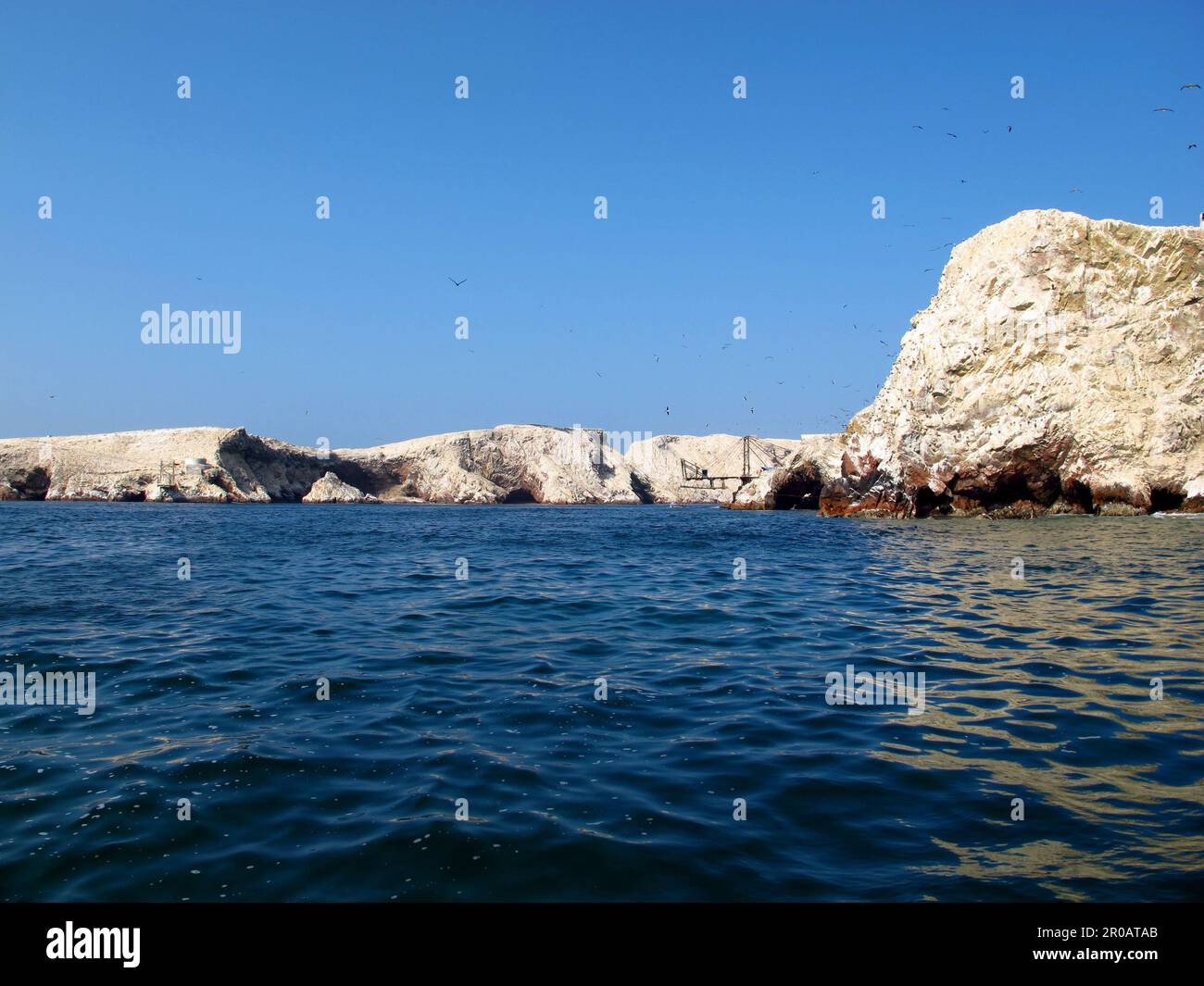 Rocks with animals in the Pacific ocean close Paracas, Peru Stock Photo ...