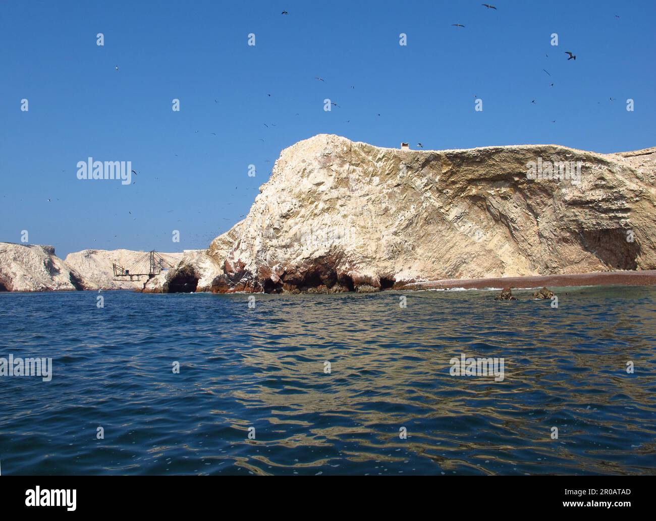 Rocks with animals in the Pacific ocean close Paracas, Peru Stock Photo ...