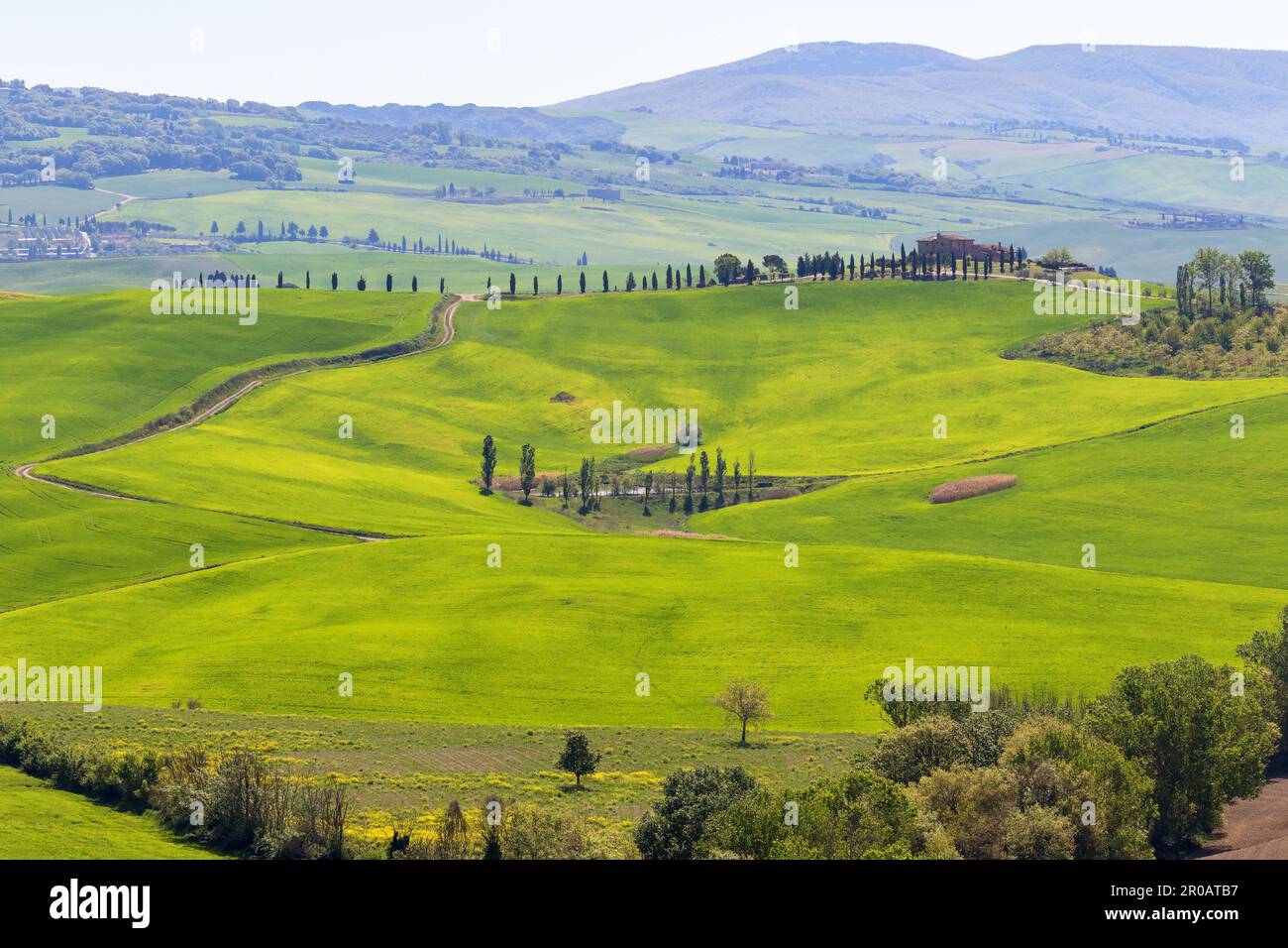 Tuscan landscape view with field Stock Photo - Alamy