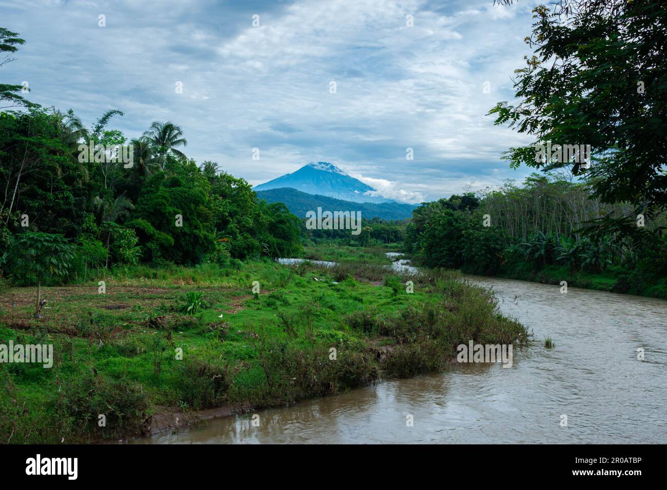 Peak distric forest hi-res stock photography and images - Alamy
