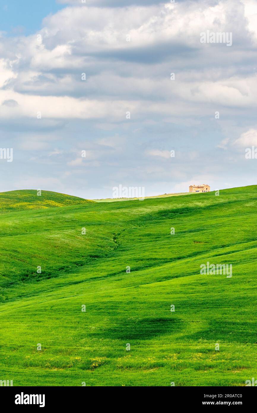 Green rolling field with a farm house on a hill Stock Photo - Alamy