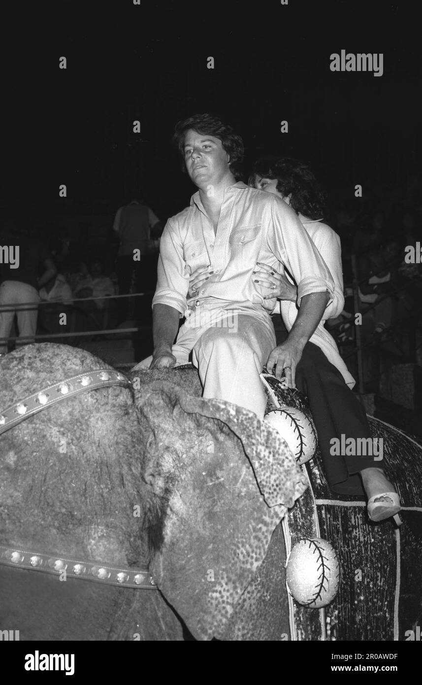 July 17, 1979, Los Angeles, CA, USA: Actor ANSON WILLIAMS, 29, aka ...