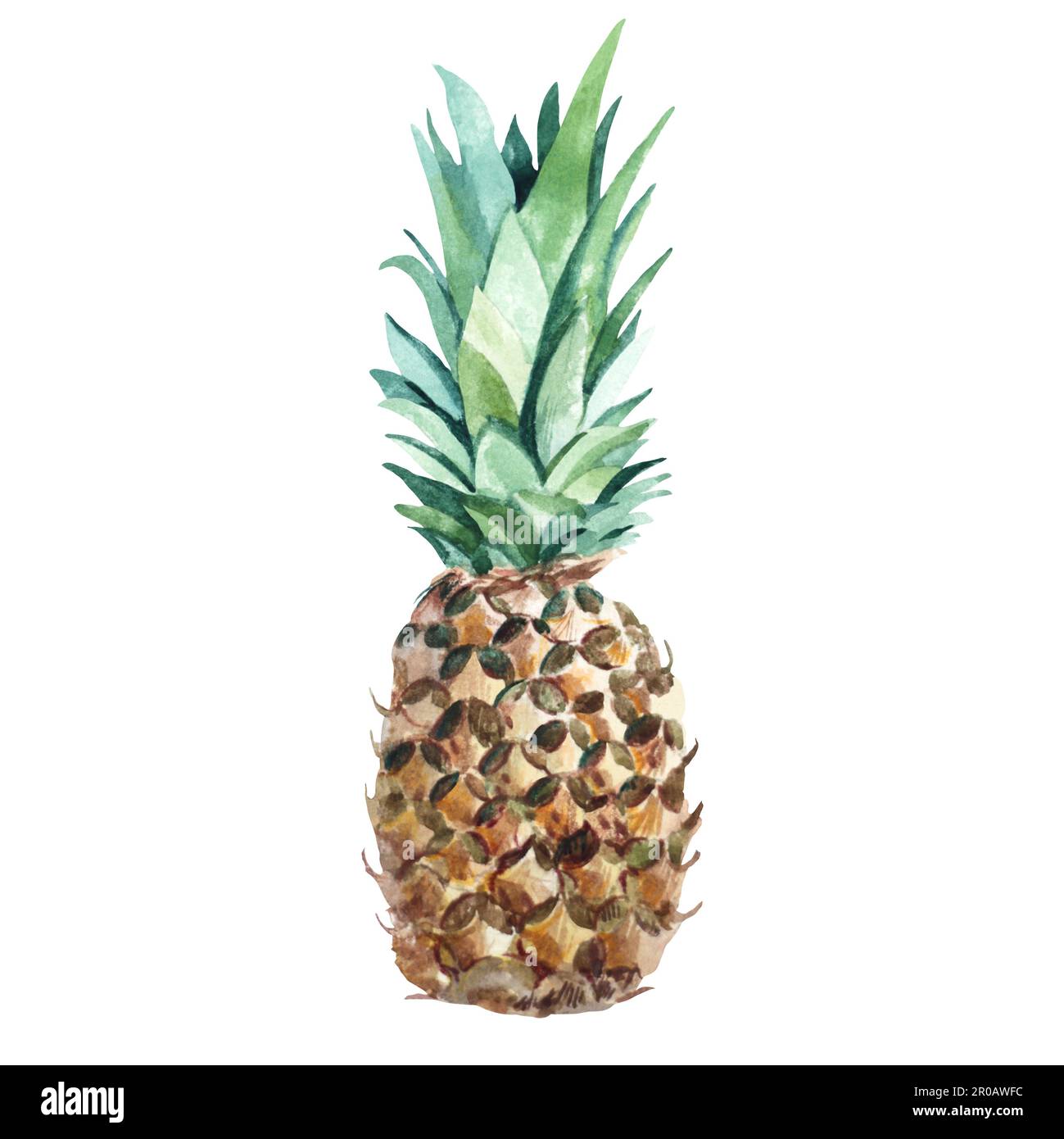 Pineapple Watercolor Illustration Isolated On White Background For
