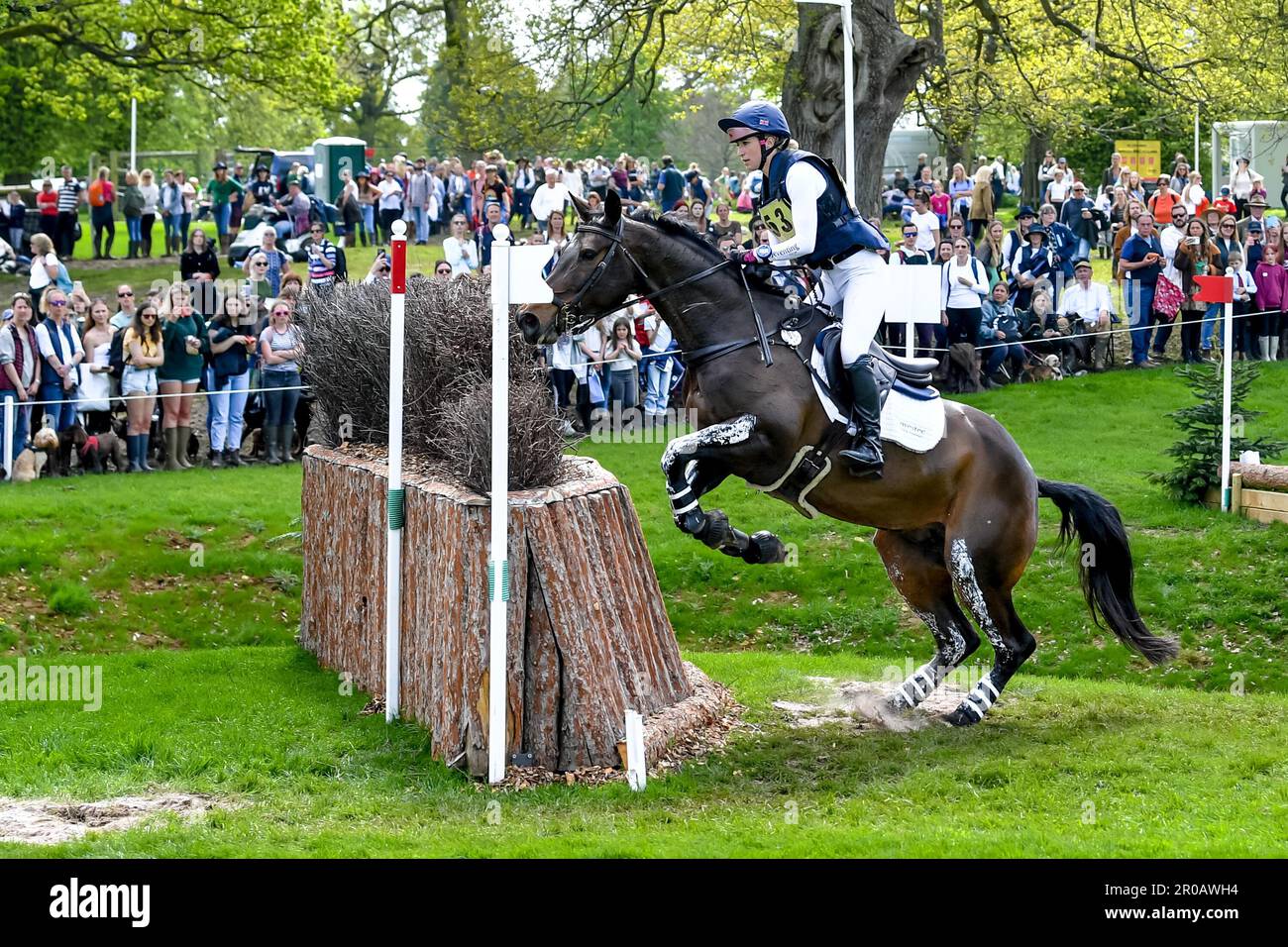 Kristina Hall-Jackson riding CMS Google succesfully retakes fence 8 the ...