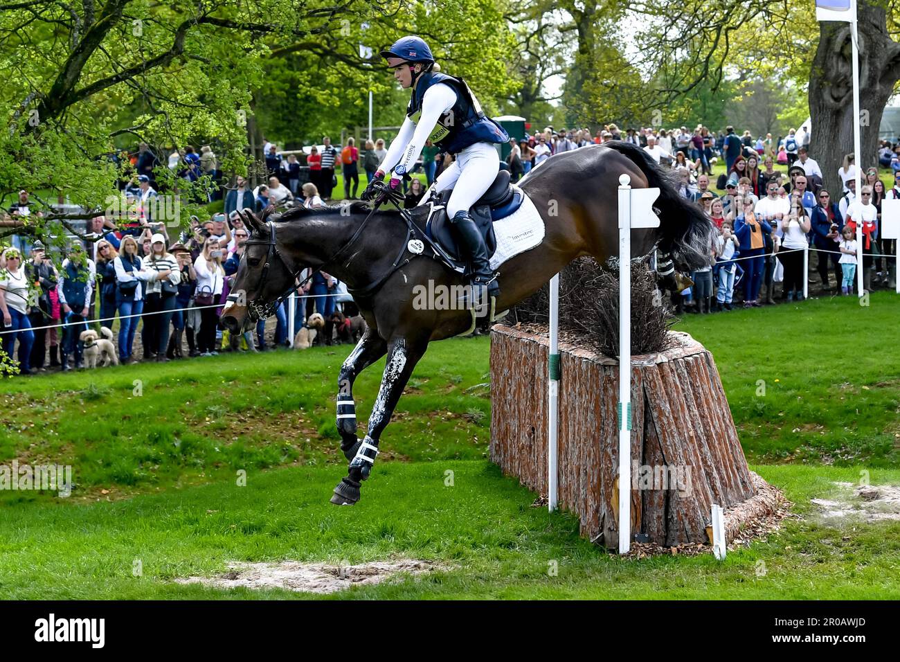 Kristina Hall-Jackson riding CMS Google succesfully retakes fence 8 the ...
