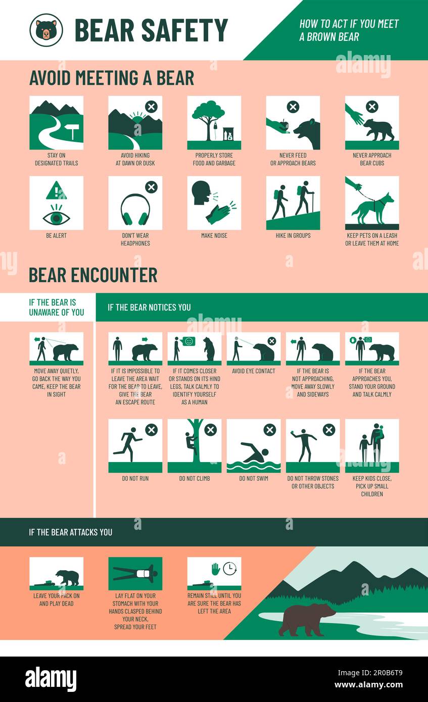 Bear safety infographic with icons set: how to avoid meeting a bear and ...