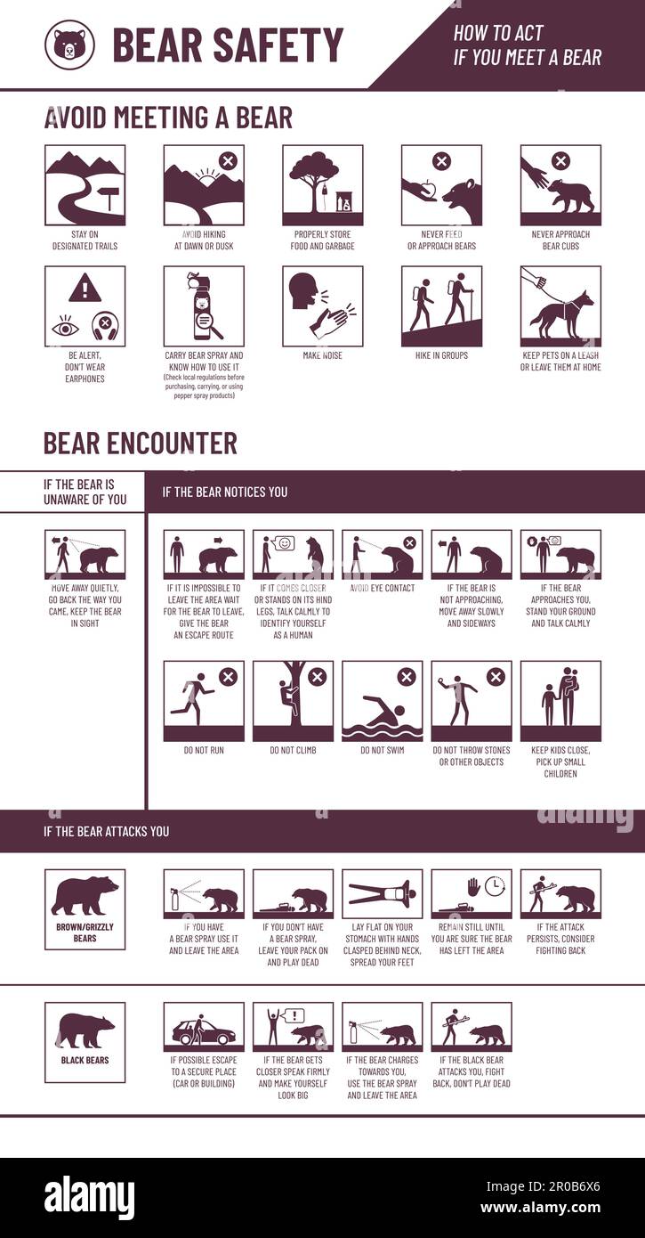 Bear safety infographic with icons set: how to avoid meeting a bear and ...