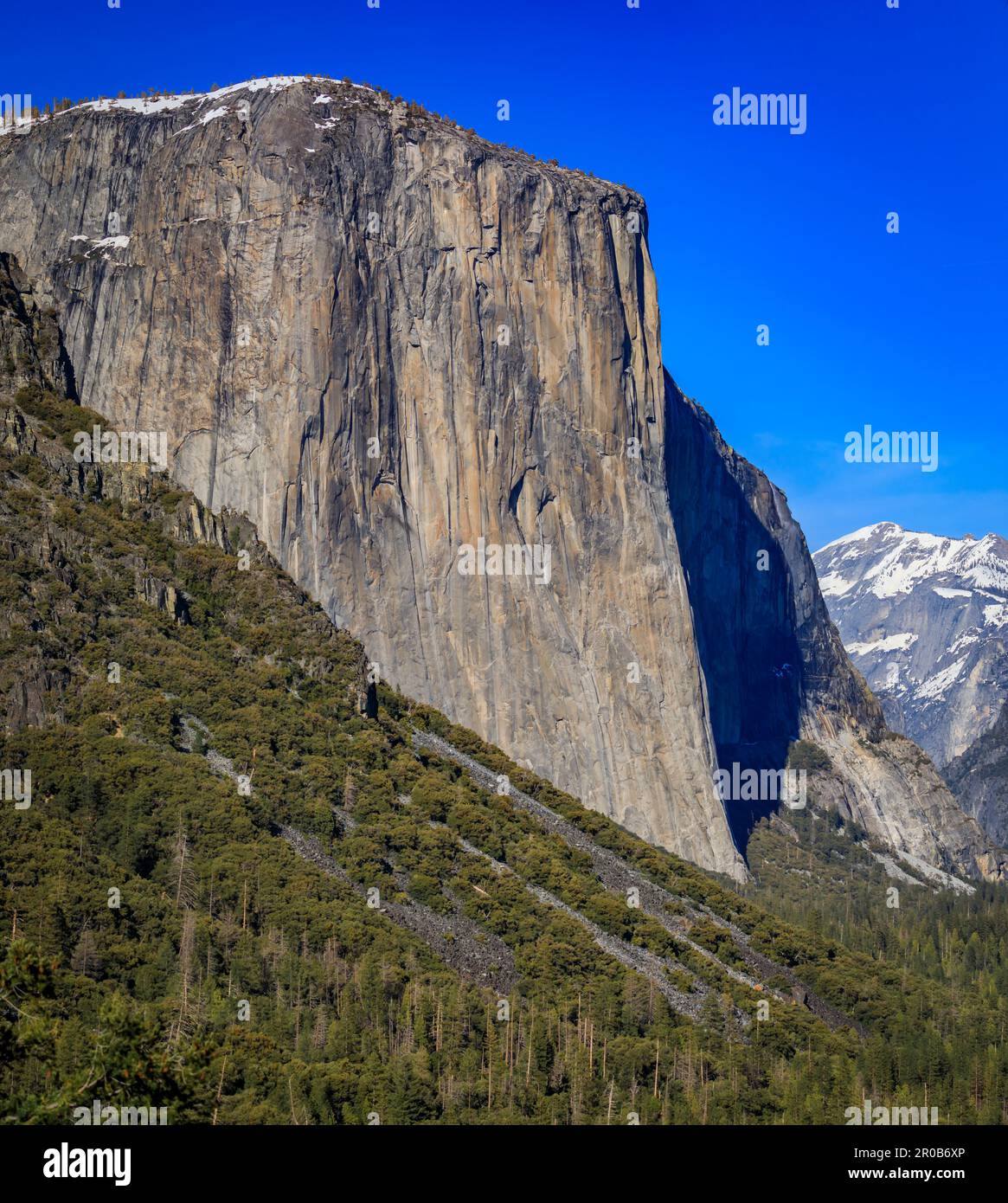 Spring in iconic park hi-res stock photography and images - Alamy