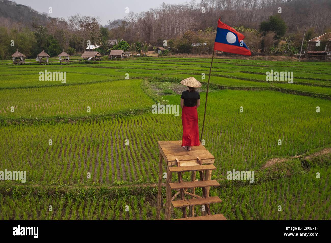 Rice Field in Luang Probang Laos Stock Photo - Alamy