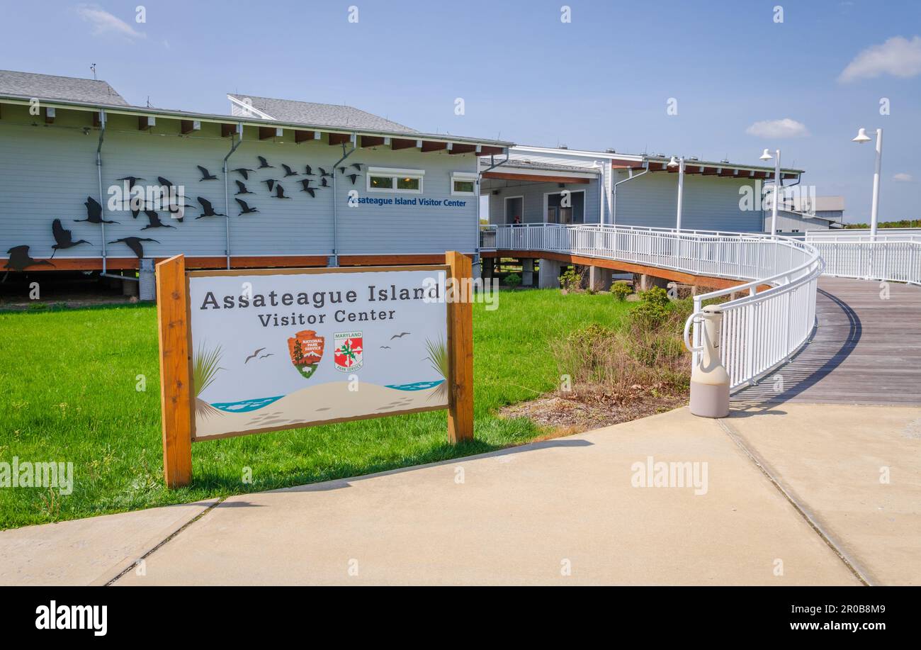 Assateague Island along the coasts of Maryland and Virginia Stock Photo ...