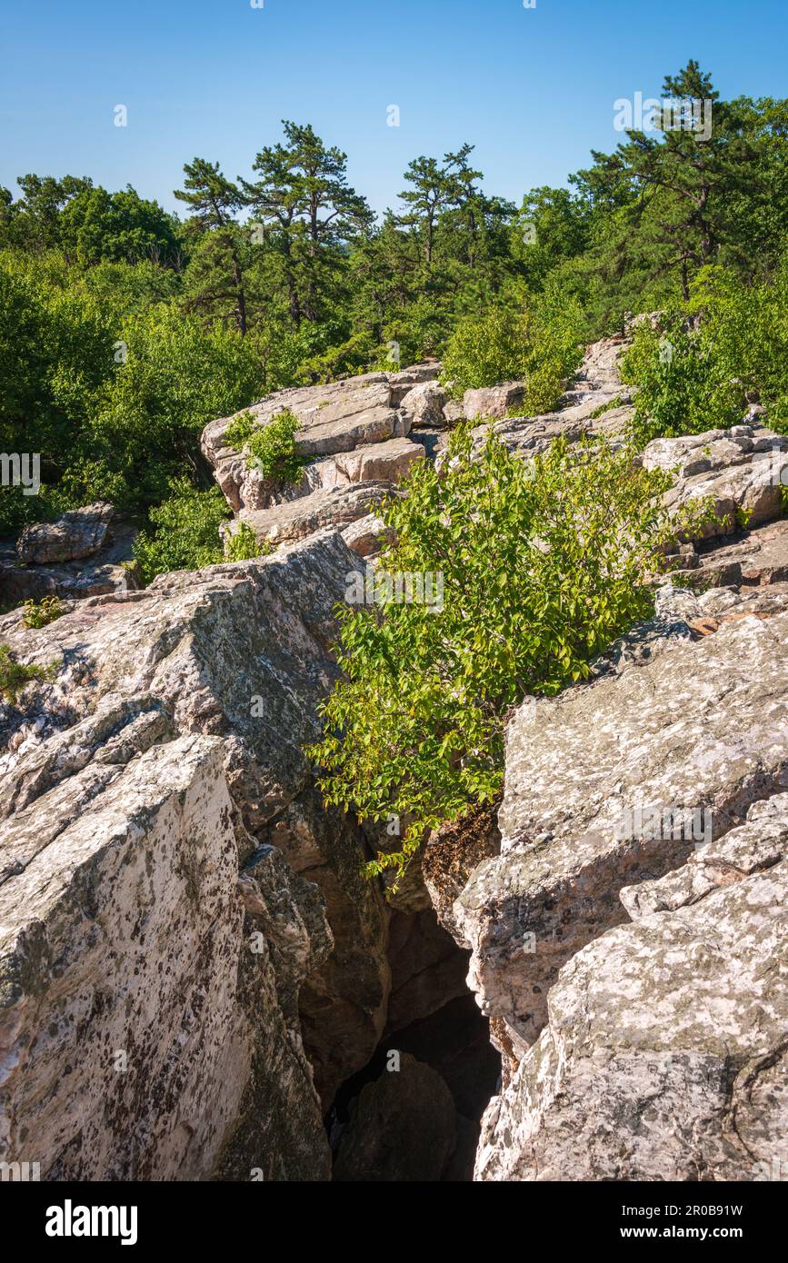 Catoctin Mountain Park, in north-central Maryland Stock Photo - Alamy