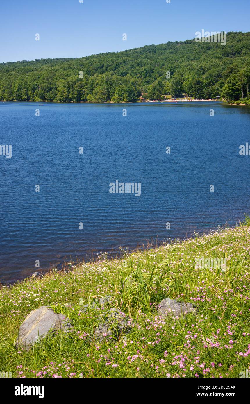 Cunningham Falls State Park in Maryland Stock Photo - Alamy