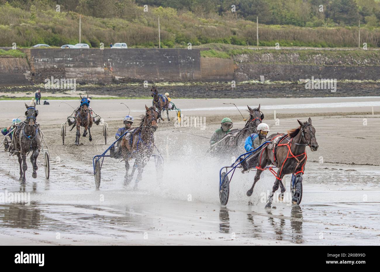 Harness Racing at Harbour View Beach, Kilbrittain, Co. Cork. May 2023 ...