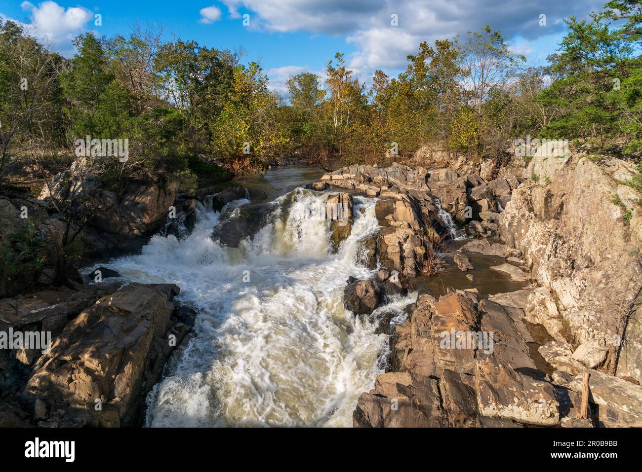 Potomac river wildlife hi-res stock photography and images - Alamy
