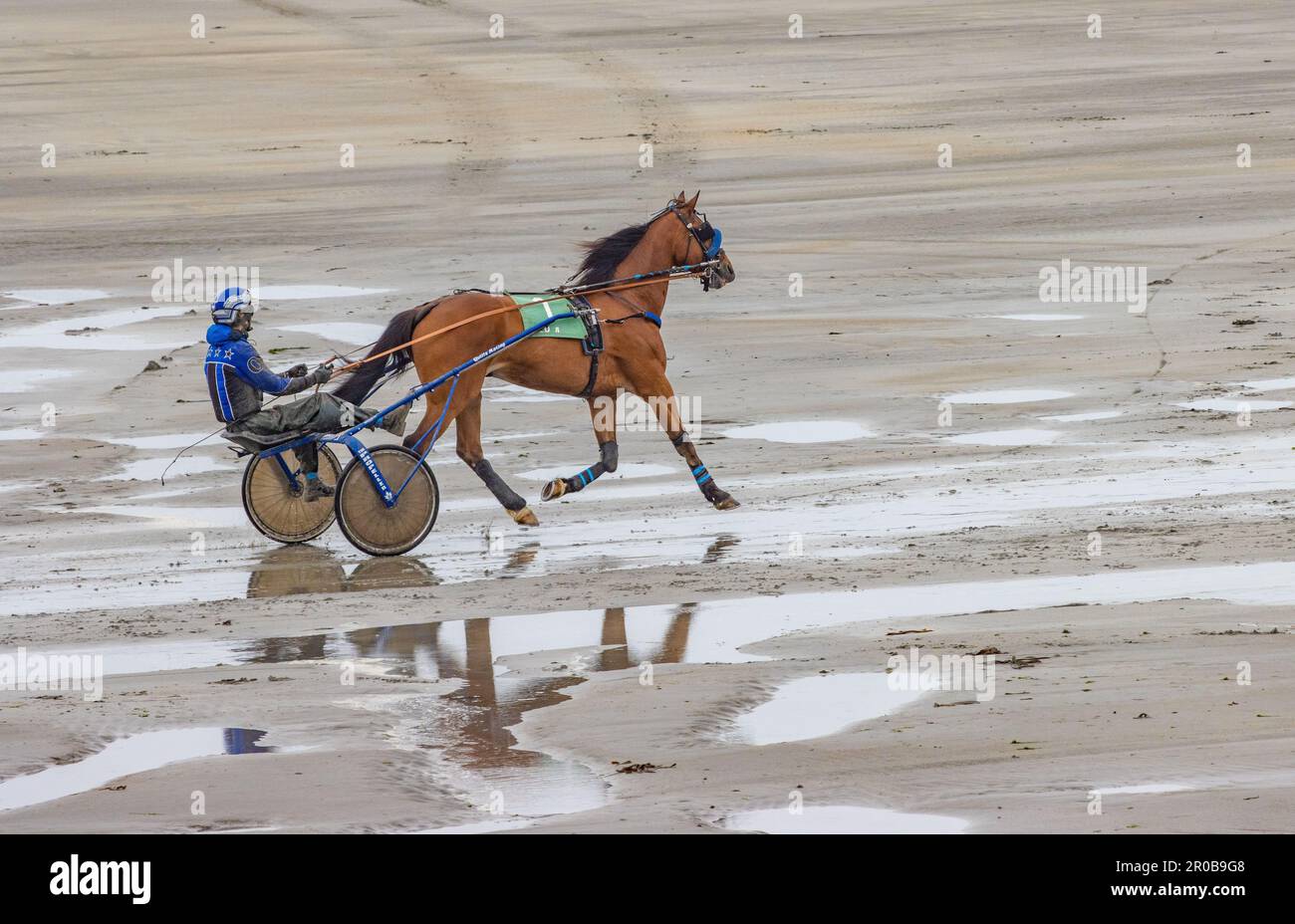 Harness Racing at Harbour View Beach, Kilbrittain, Co. Cork. May 2023 ...