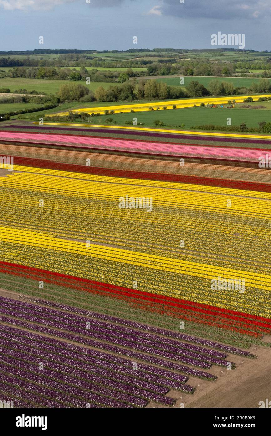 Wet tapping hi-res stock photography and images - Alamy