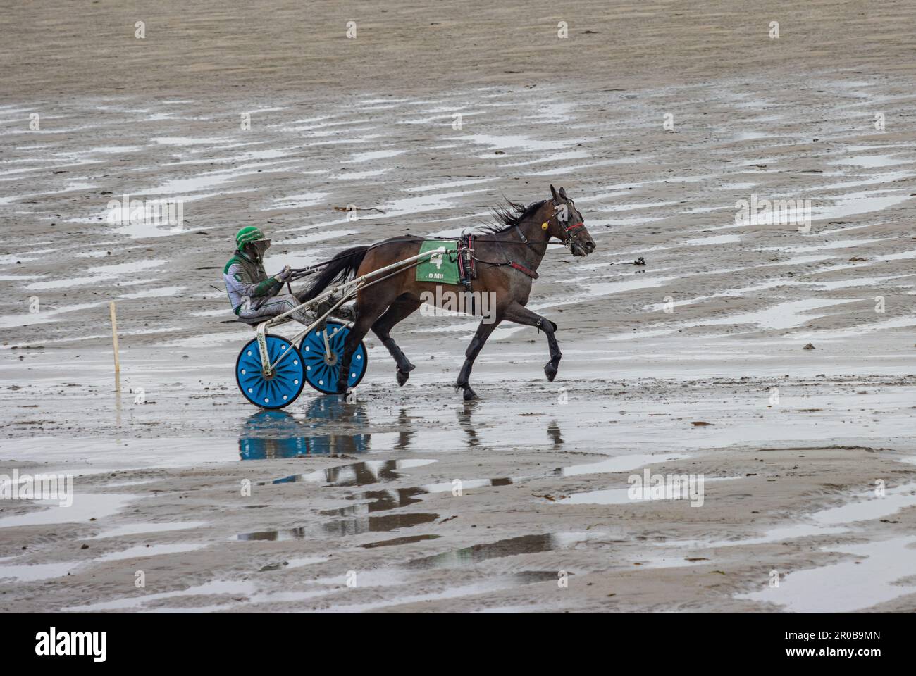 Harness Racing at Harbour View Beach, Kilbrittain, Co. Cork. May 2023 ...