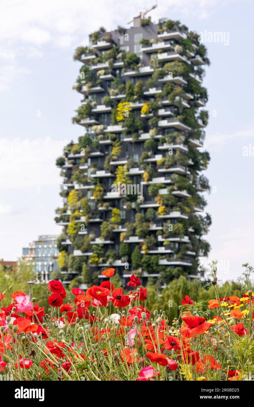 Milan, Italy - may 7 2023 - Milan Bosco Verticale with flowers Stock ...