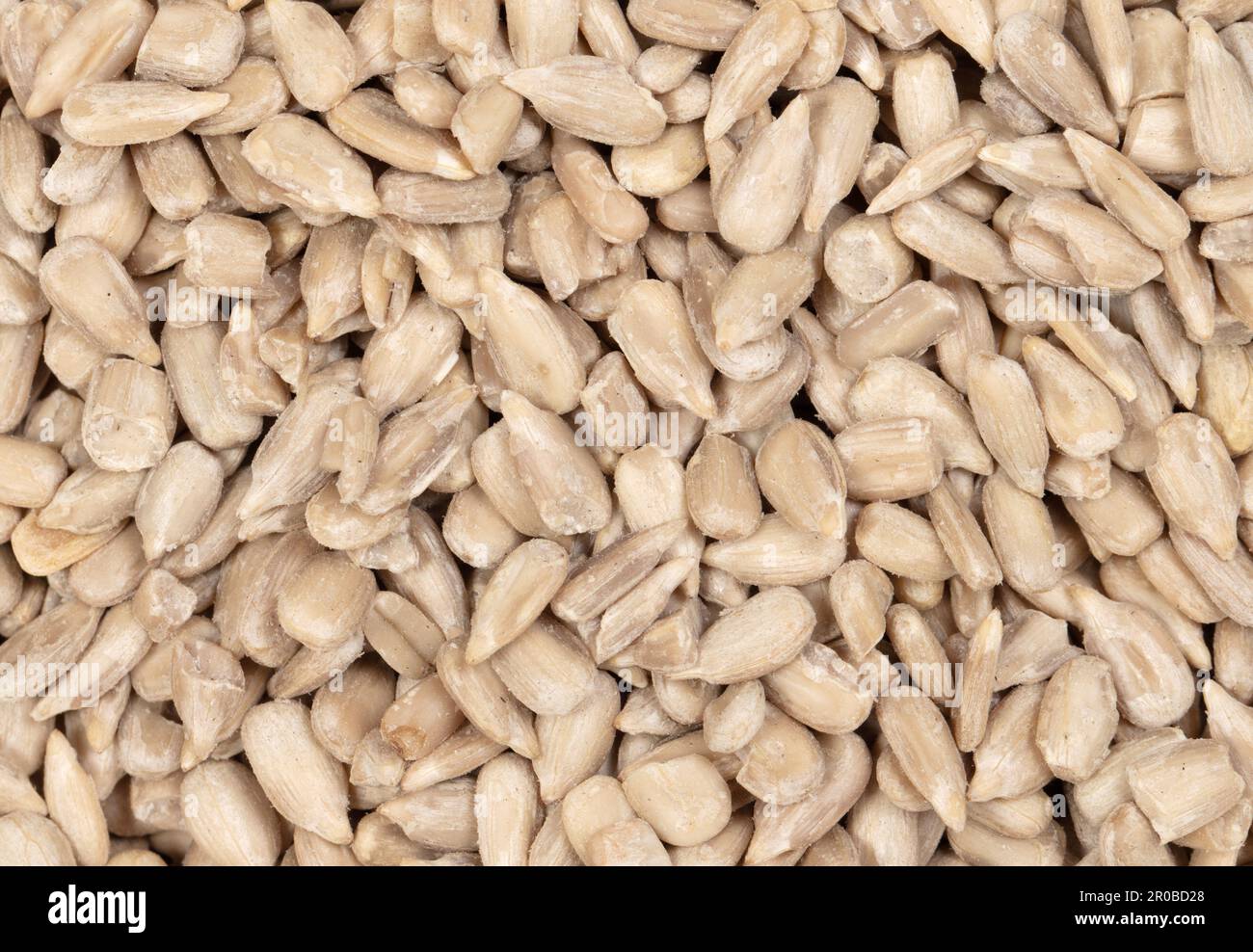 Sunflower seeds full frame hi-res stock photography and images - Alamy