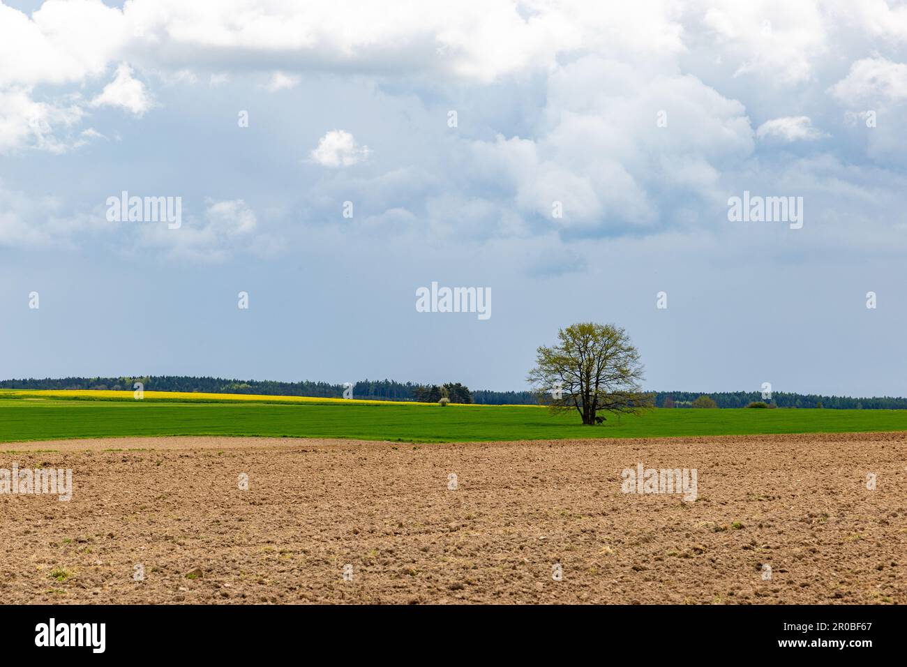 Spring green fields in European rural areas Stock Photo - Alamy