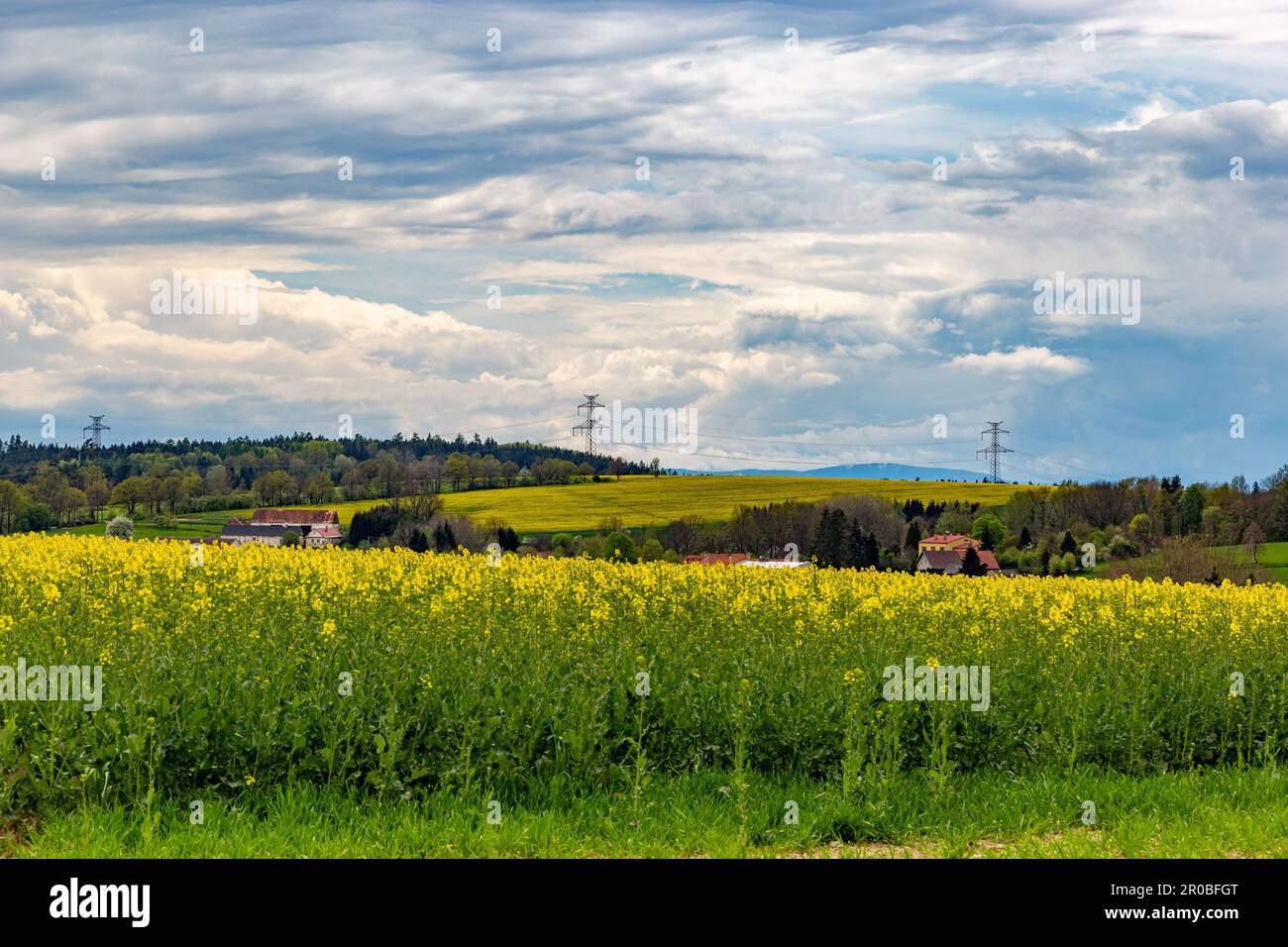 European landscape with spring fields. Canola fields Stock Photo - Alamy