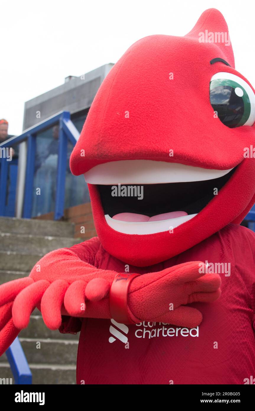 Megan campbell 28 hi-res stock photography and images - Alamy