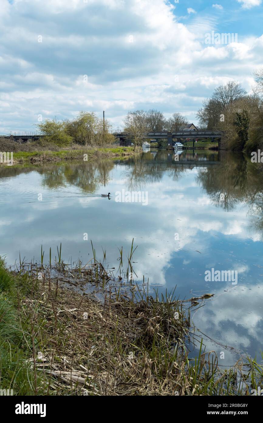 The Nene River is a river in Northampton, UK Stock Photo - Alamy