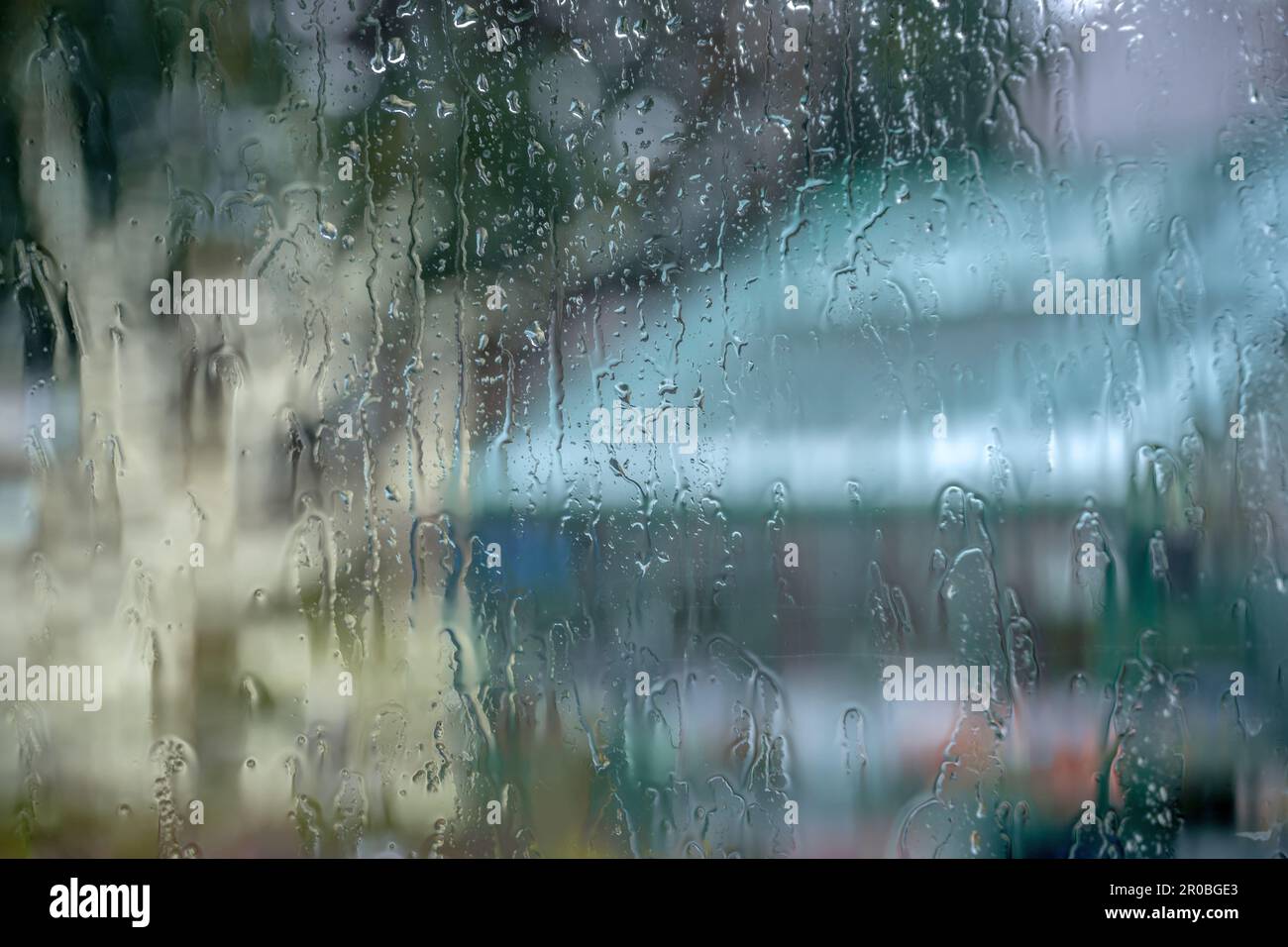 Cleaning garden cold frame hi-res stock photography and images - Alamy