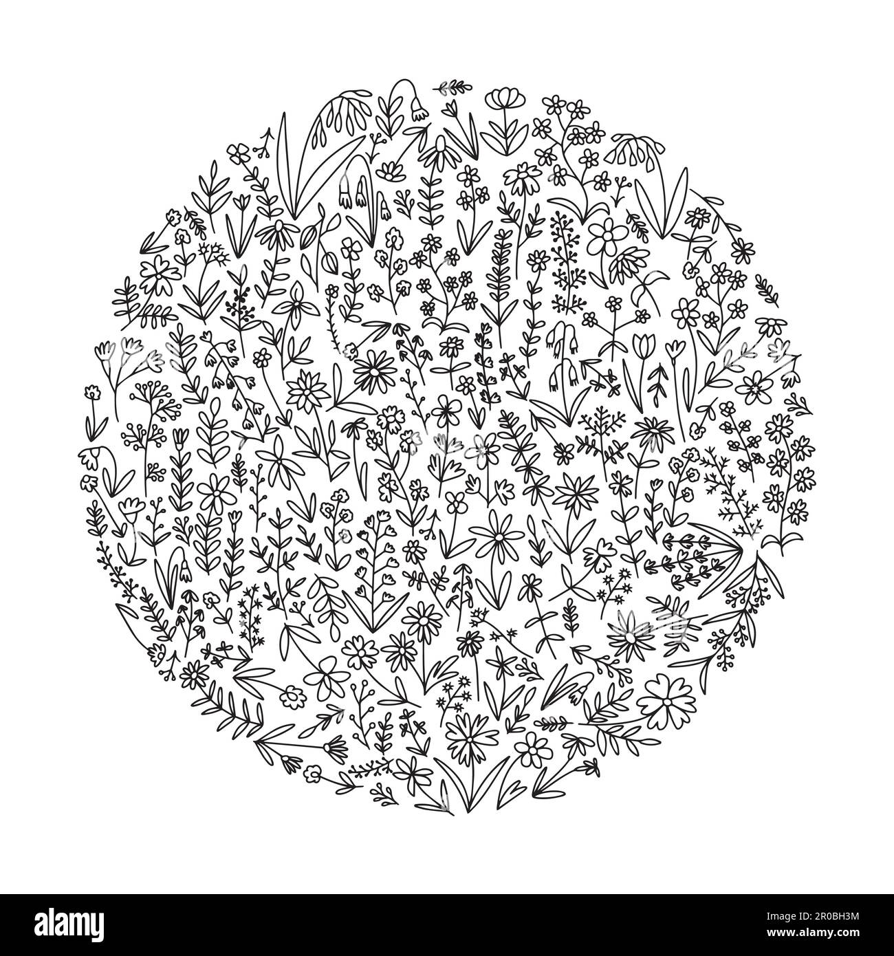 Different floral Black and White Stock Photos & Images - Alamy