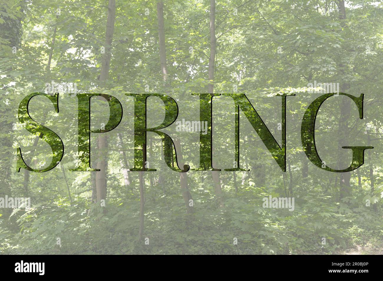 Spring version hi-res stock photography and images - Alamy