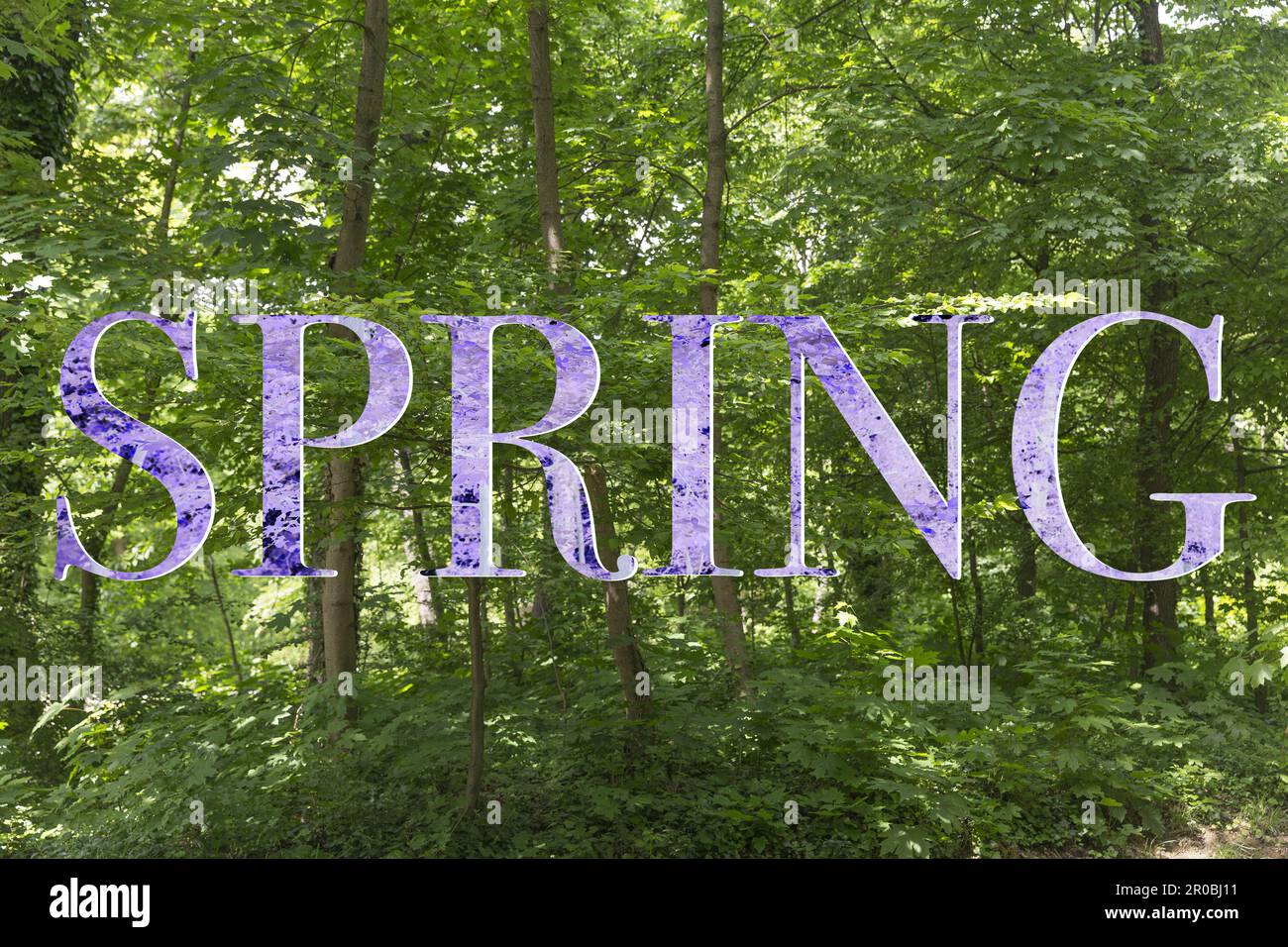 Predesigned hi-res stock photography and images - Alamy