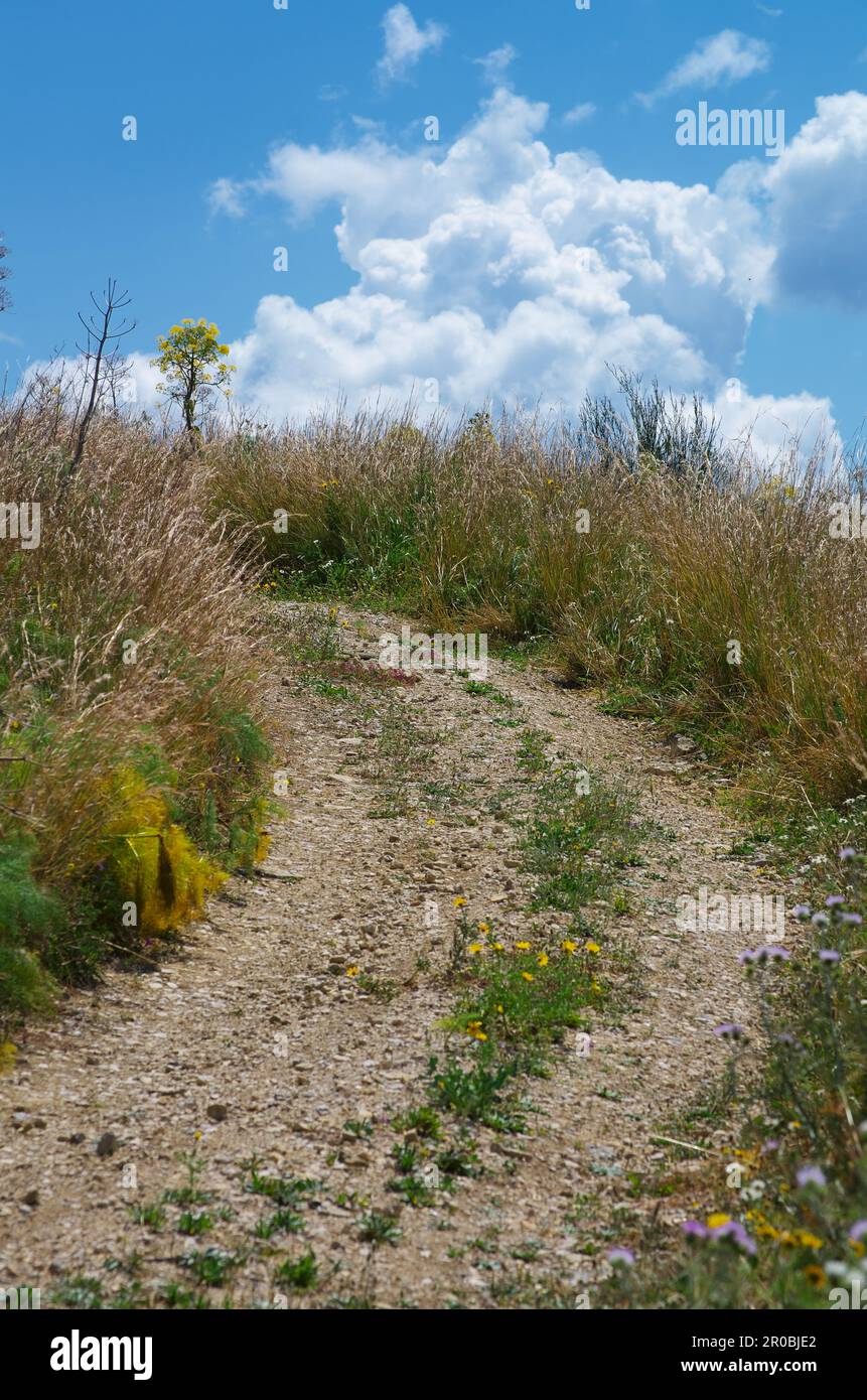 curve dirt road in spring of Sicily, Italy Stock Photo - Alamy