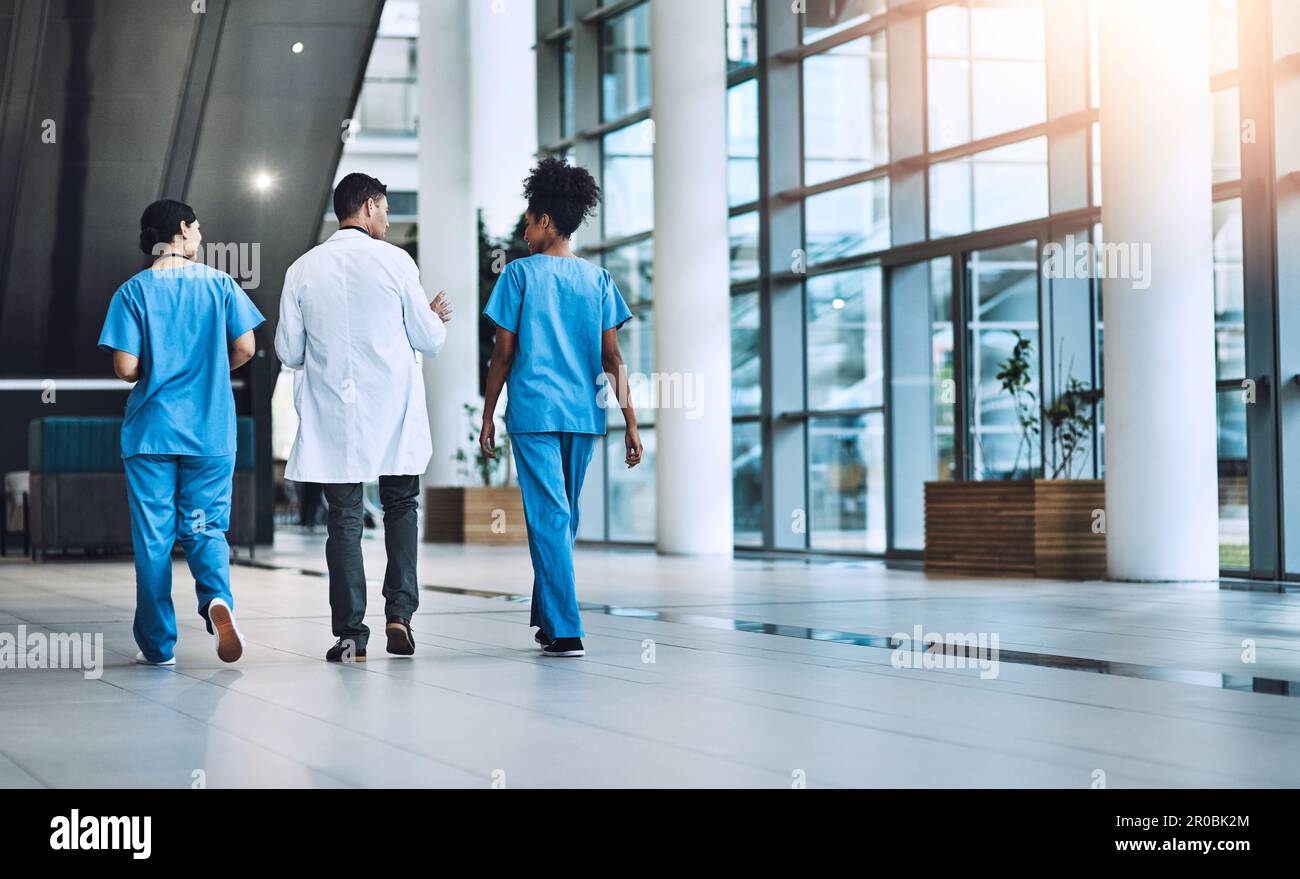 Back, employees and doctors walking, conversation and planning with ...