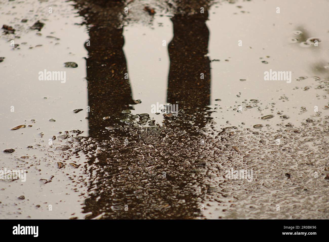 Human reflection in puddle Stock Photo - Alamy