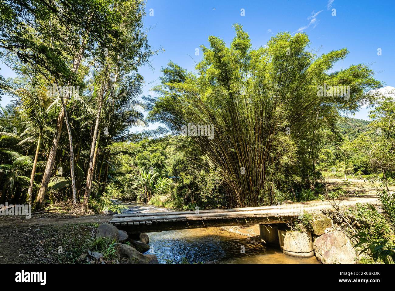 Beautiful landscape view of Atalaia Park, Itajai City, Brazil. Parque ...