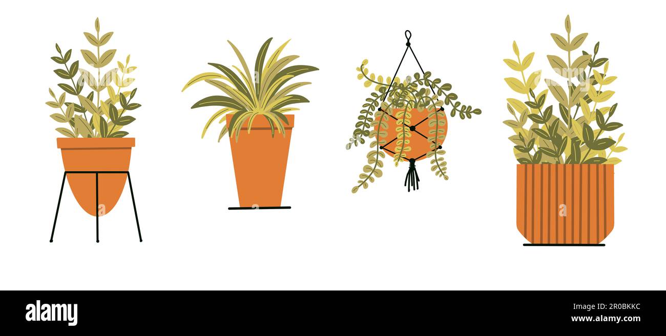 Set of home plants in pots. Hand drawing illustration, isolated on ...