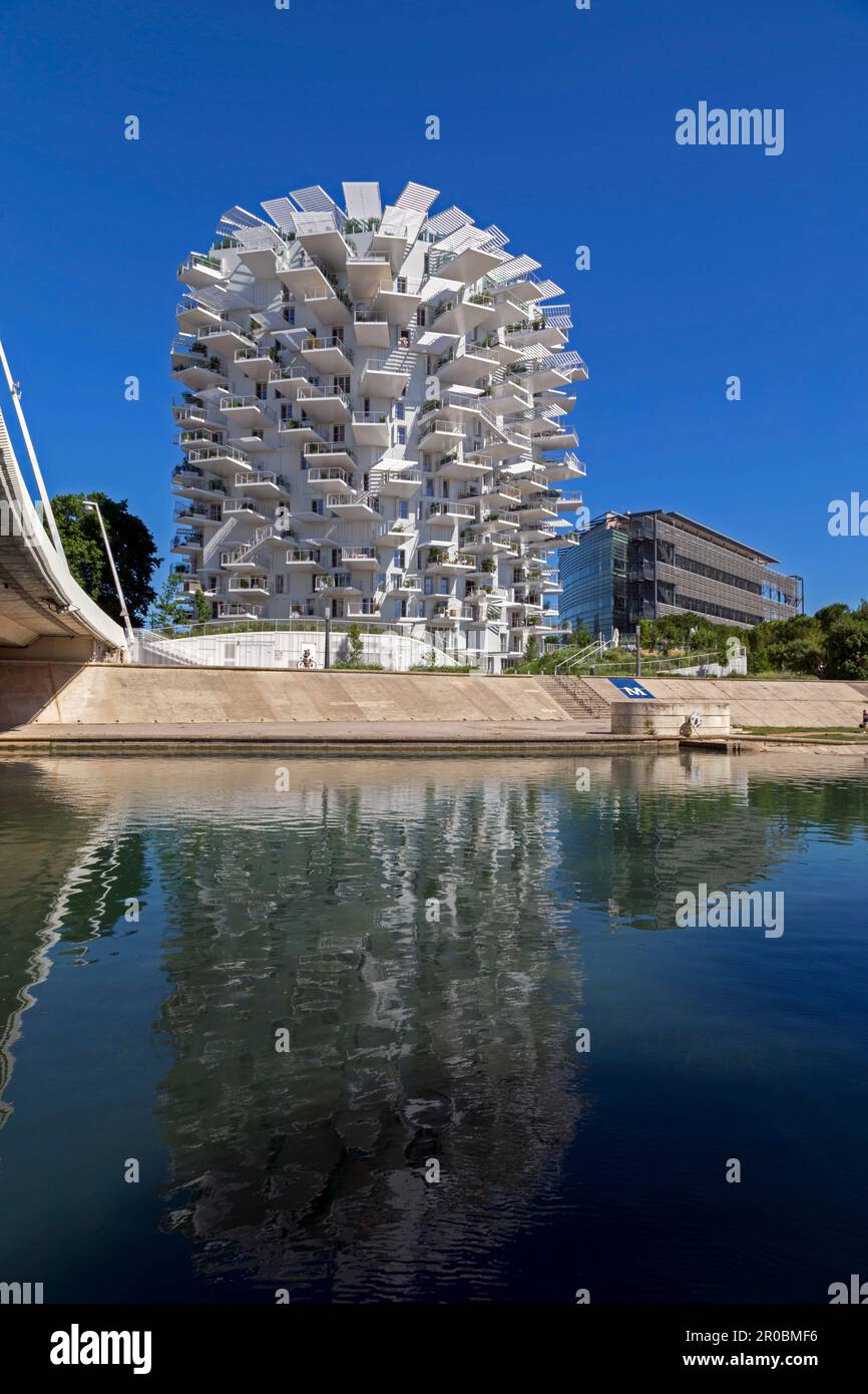 Arbre blanc france montpellier hi-res stock photography and images - Alamy