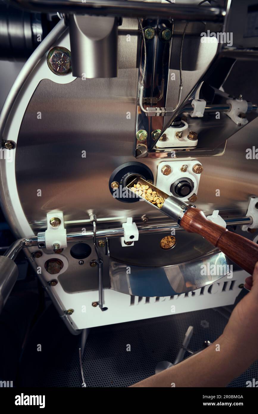 A coffee roaster checks the roast level of coffee beans Stock Photo - Alamy