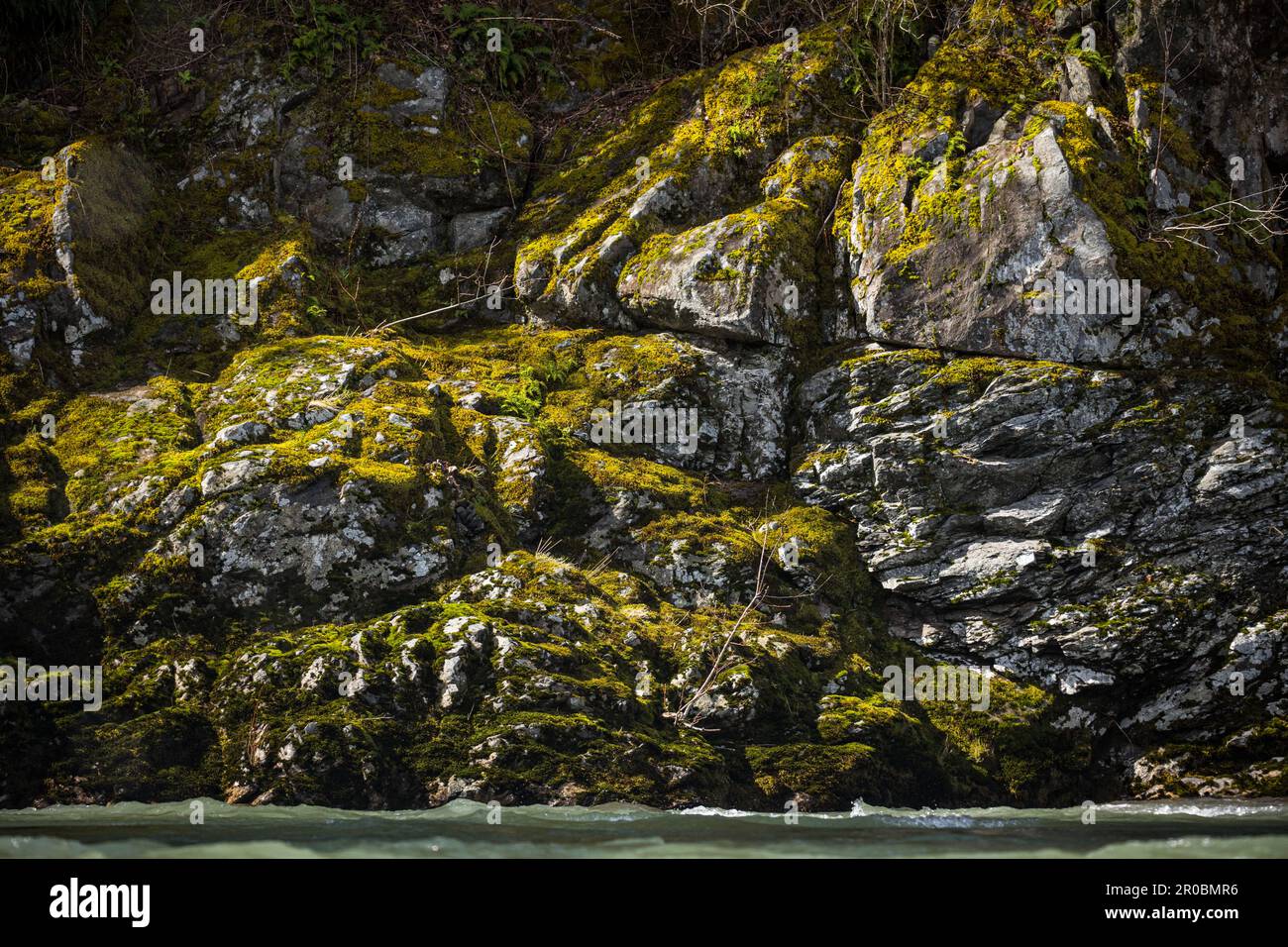 Washington Riverscape Green Mossy River Rock Stock Photo - Alamy