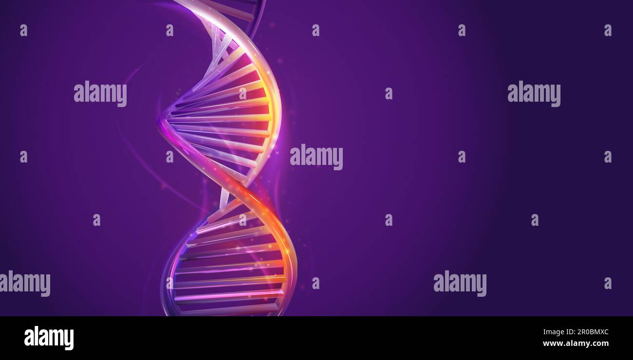 DNA double helix structure on a violet background Stock Photo - Alamy