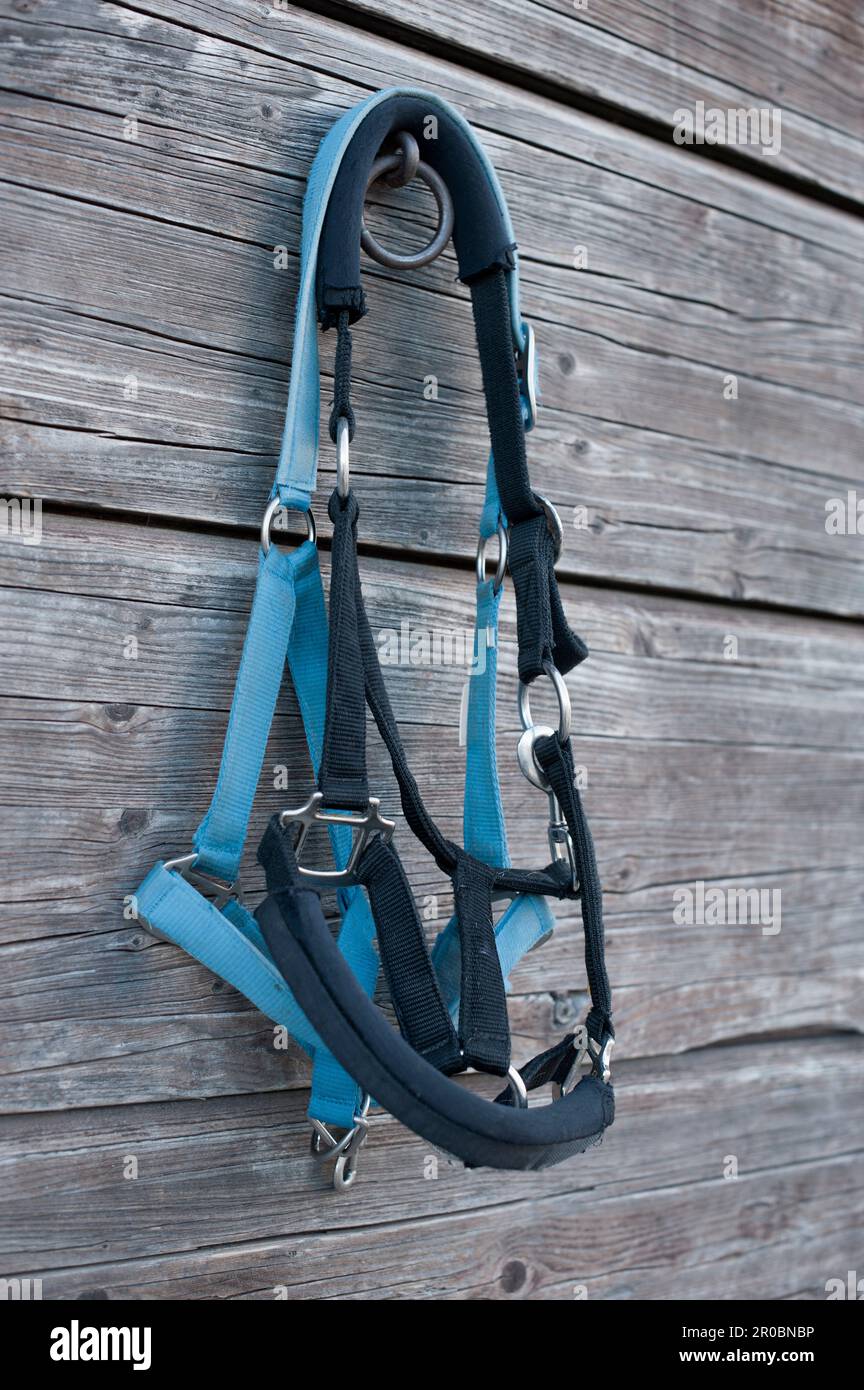 How To Hang Horse Harness On Wall at Lincoln Pie blog