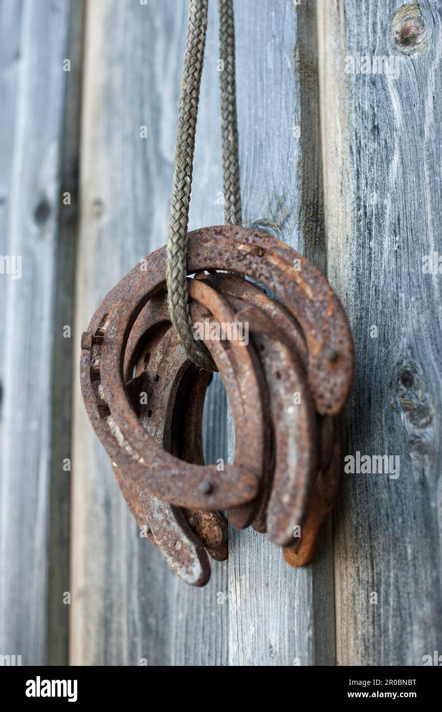 Old rusty iron horseshoes hi-res stock photography and images - Alamy