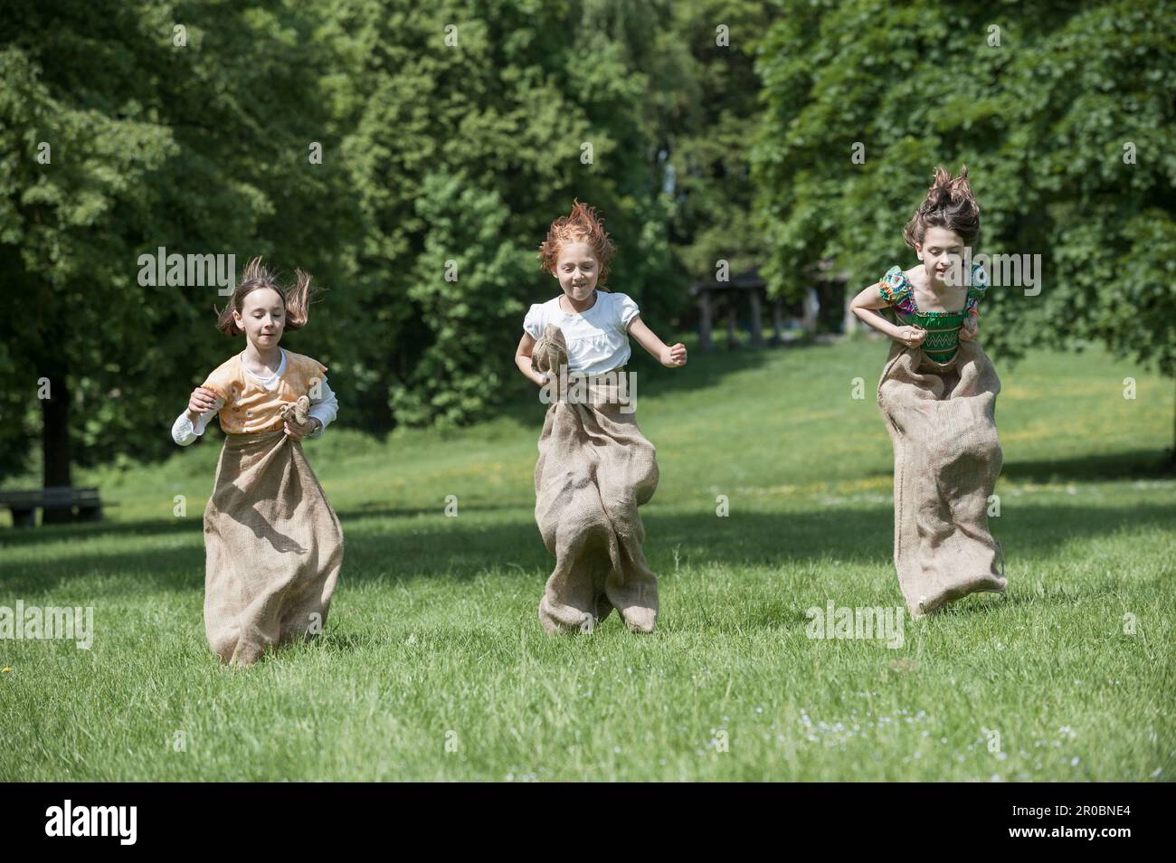 Three girls jumping in sack race in a field, Munich, Bavaria, Germany ...