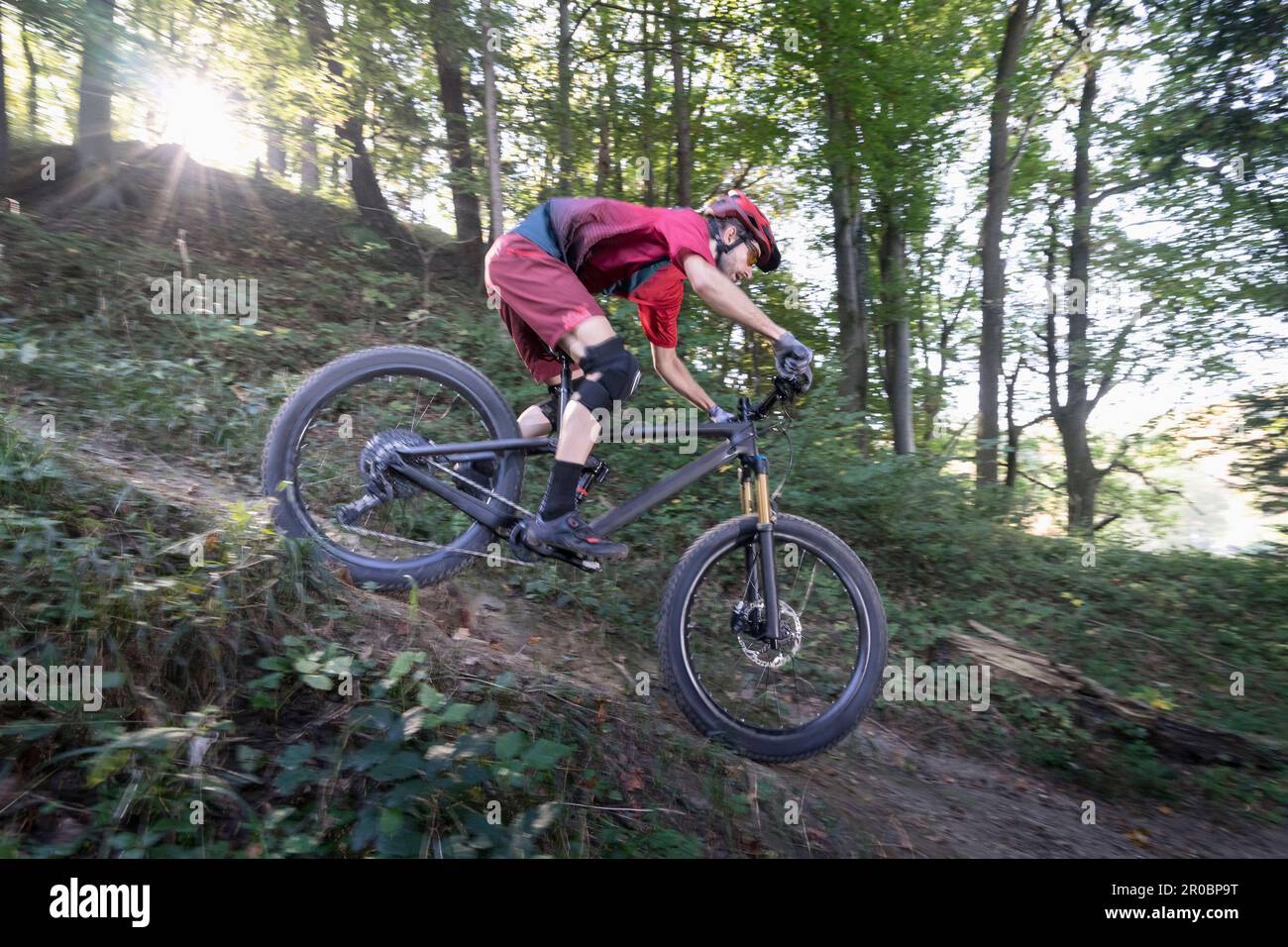 Mountain biker riding downhill through forest track, Bavaria, Germany ...