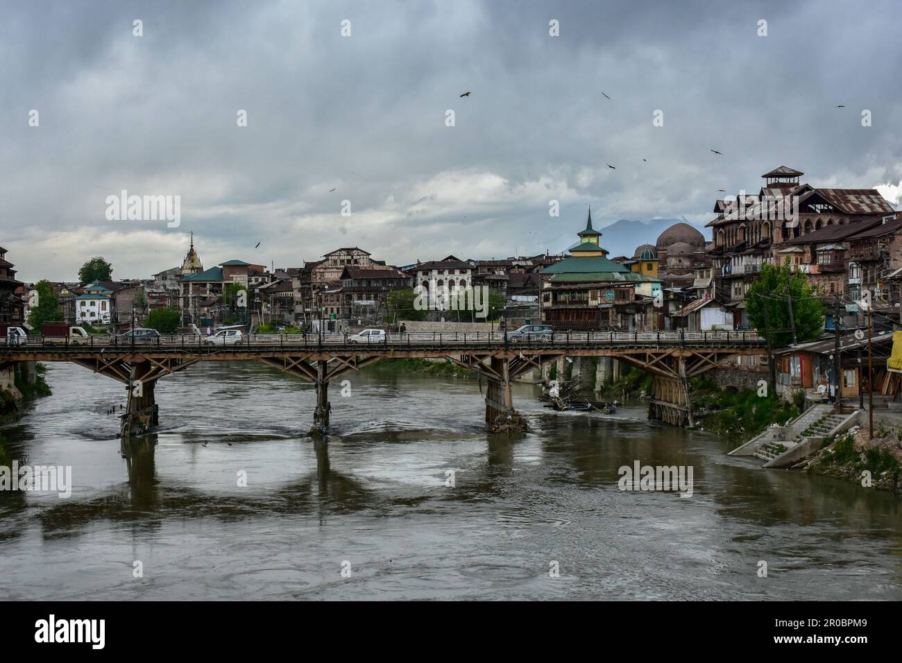 Zaina kadal hi-res stock photography and images - Alamy