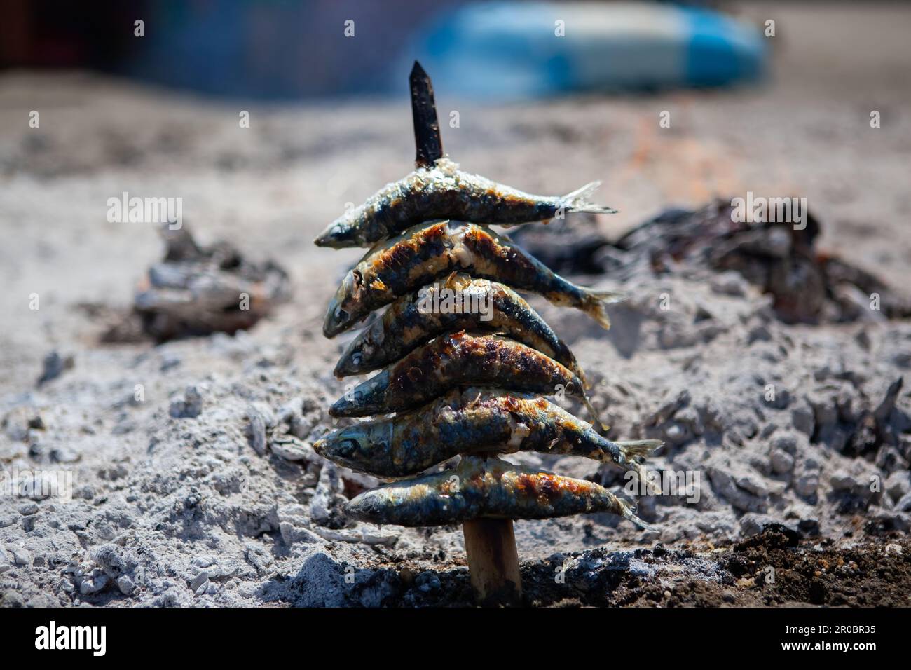 Fishermen's custom on the MÃ¡laga coast-grilling fish on espetos Stock ...