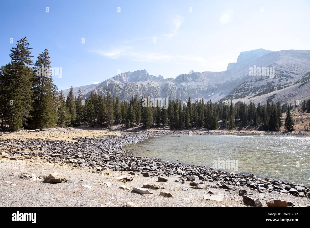 Stella baker hi-res stock photography and images - Alamy